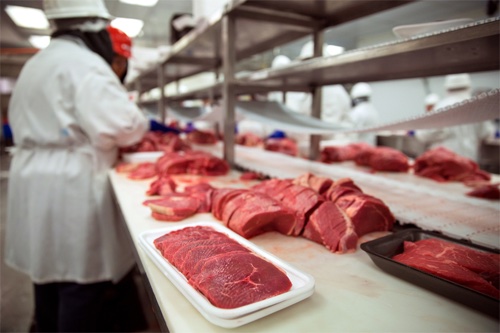 How to Solve Pumping Challenges in Meat and Poultry Processing | SANDPIPER